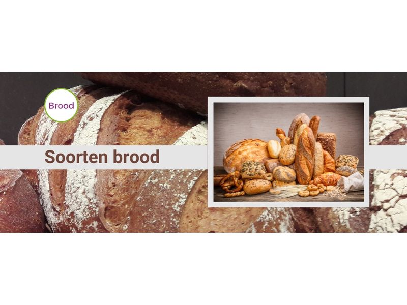 Ontdek de verschillende soorten brood voor jouw restaurant - De ...