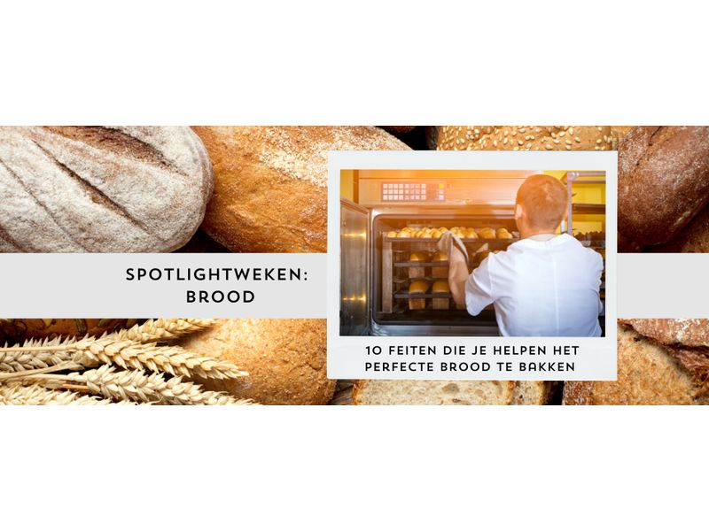 10 feiten die je helpen het perfecte brood te bakken voor jouw ...