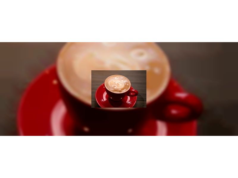 Finalisten Dutch Barista Championship - De RestaurantKrant