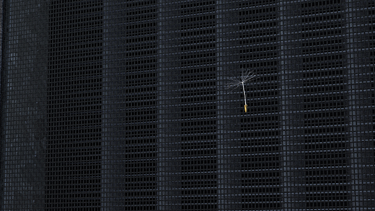 Air Intake Screen van ProScreen - Interfilter